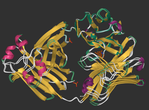 PlayMolecule - Click. Compute. Discover.